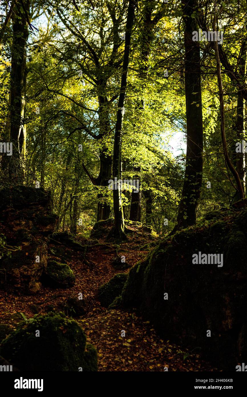 Autumn, Forest of Dean, England. The Scowles, Devils Chapel Stock Photo ...