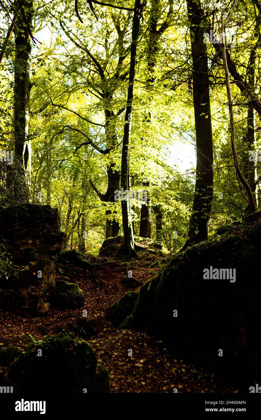 Autumn, Forest of Dean, England. The Scowles, Devils Chapel Stock Photo ...