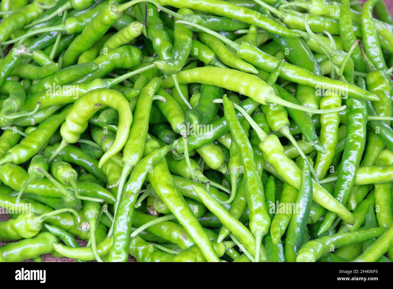 vegetables-and-fruits-from-sri-lanka-markets-stock-photo-alamy