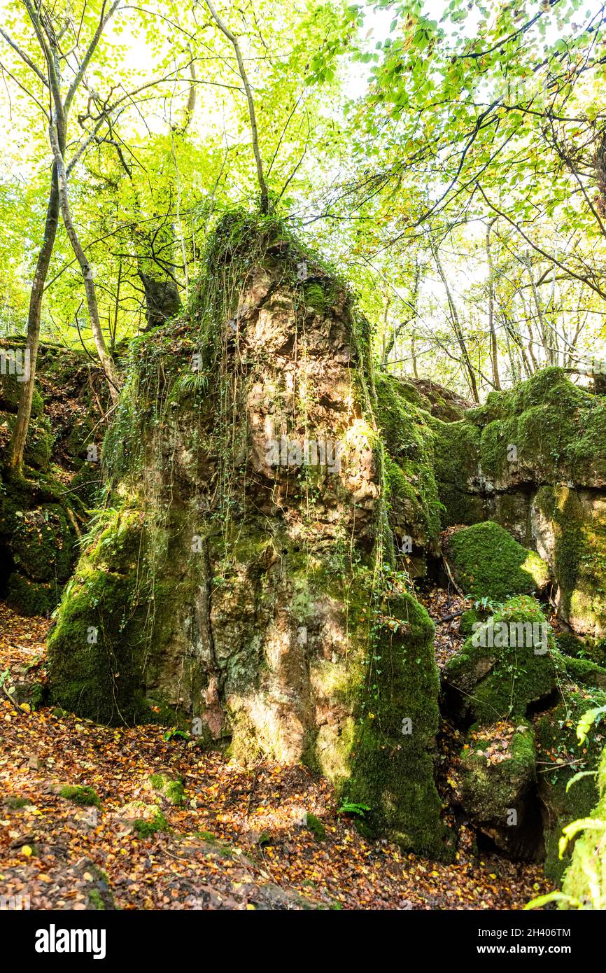 Autumn, Forest of Dean, England. The Scowles, Deveils Chapel Stock ...