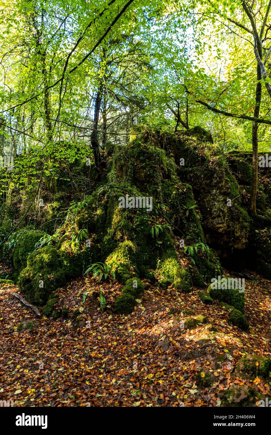 Autumn, Forest of Dean, England. The Scowles, Deveils Chapel Stock ...
