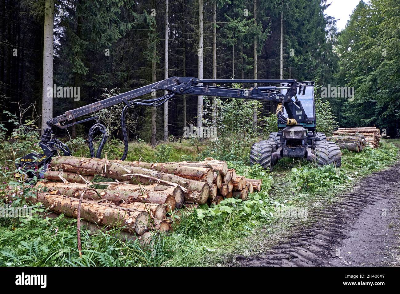 Sa chsisches granulitgebirge hi-res stock photography and images - Alamy