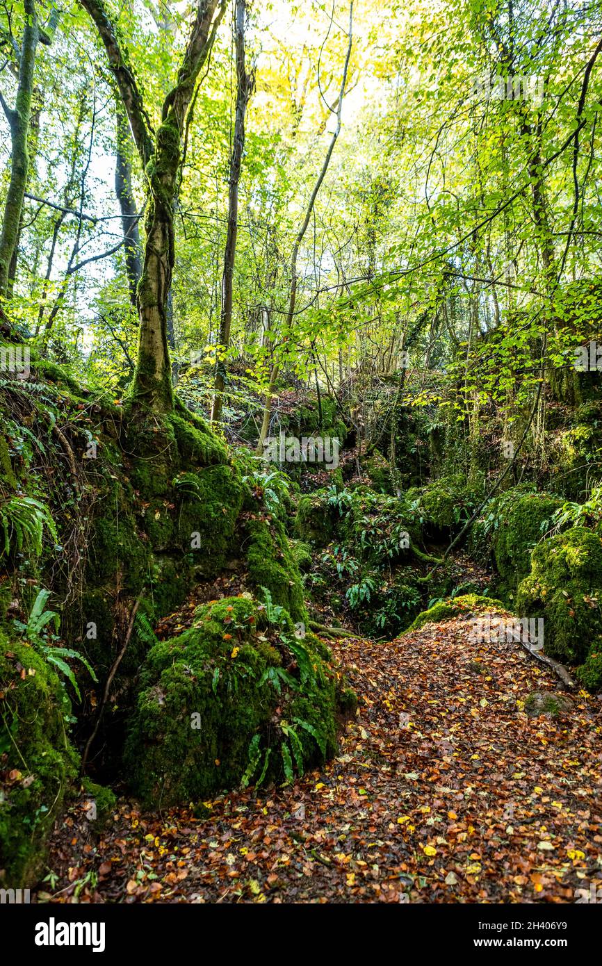 Scowle hi-res stock photography and images - Alamy