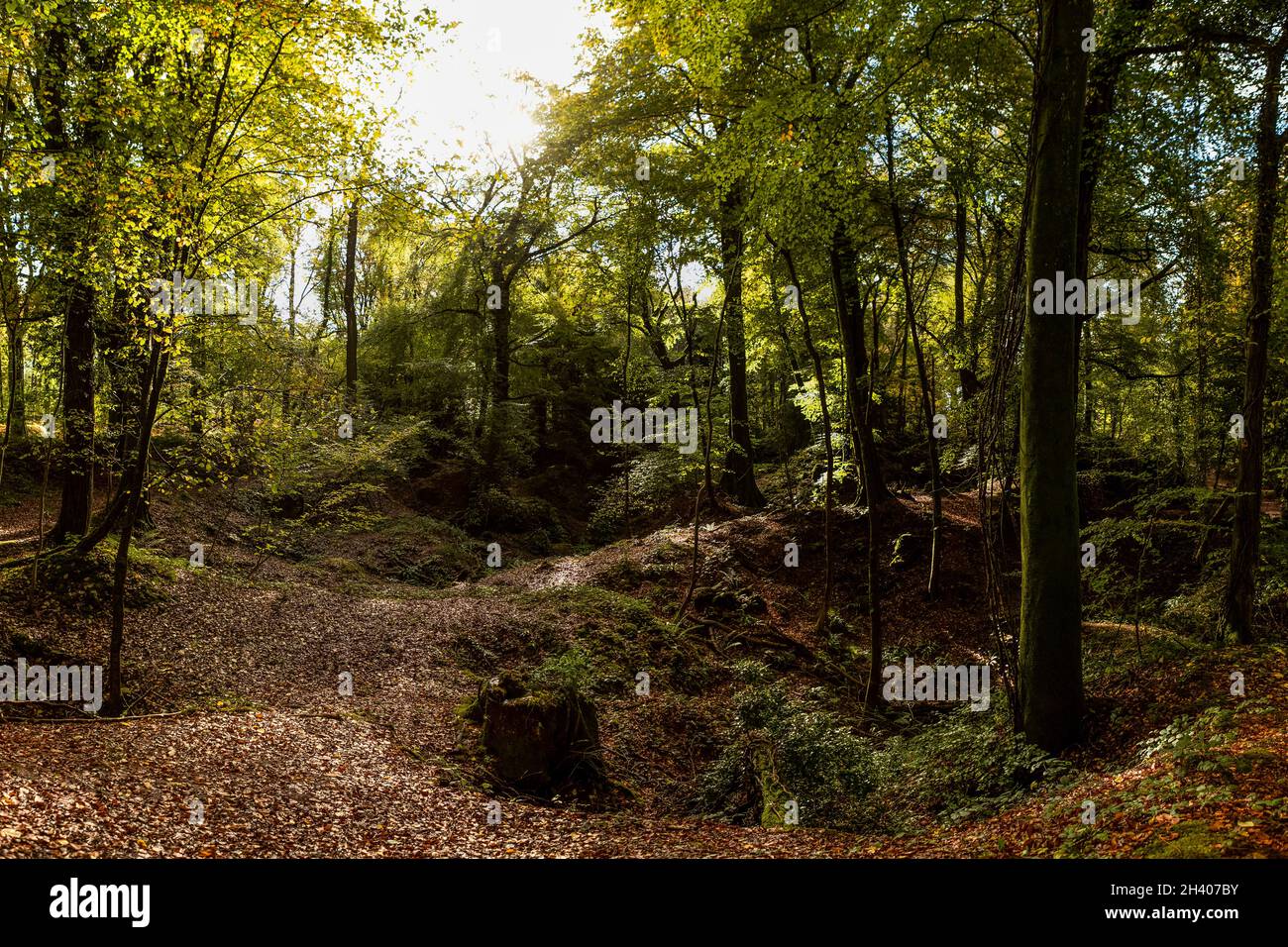 Autumn, Forest of Dean, England. The Scowles, Devils Chapel Stock Photo ...
