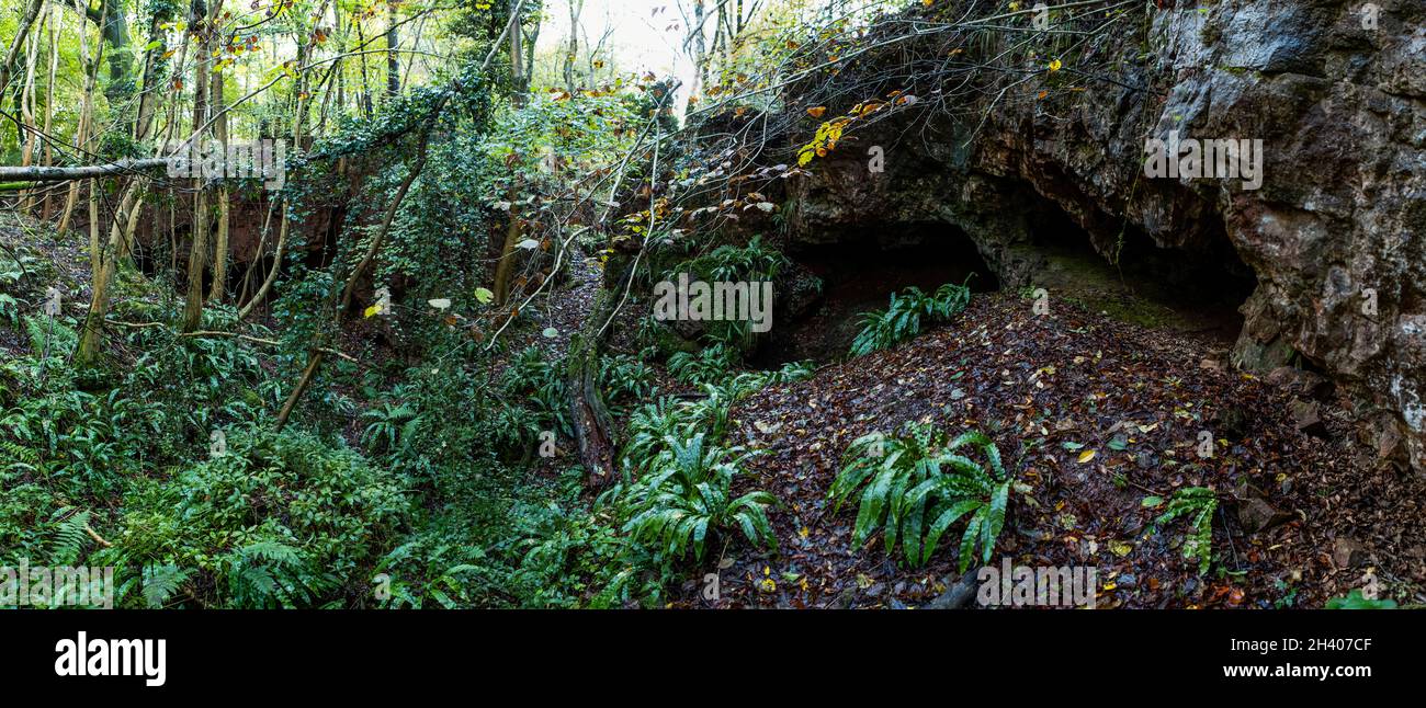 Autumn, Forest of Dean, England. The Scowles, Deveils Chapel Stock ...