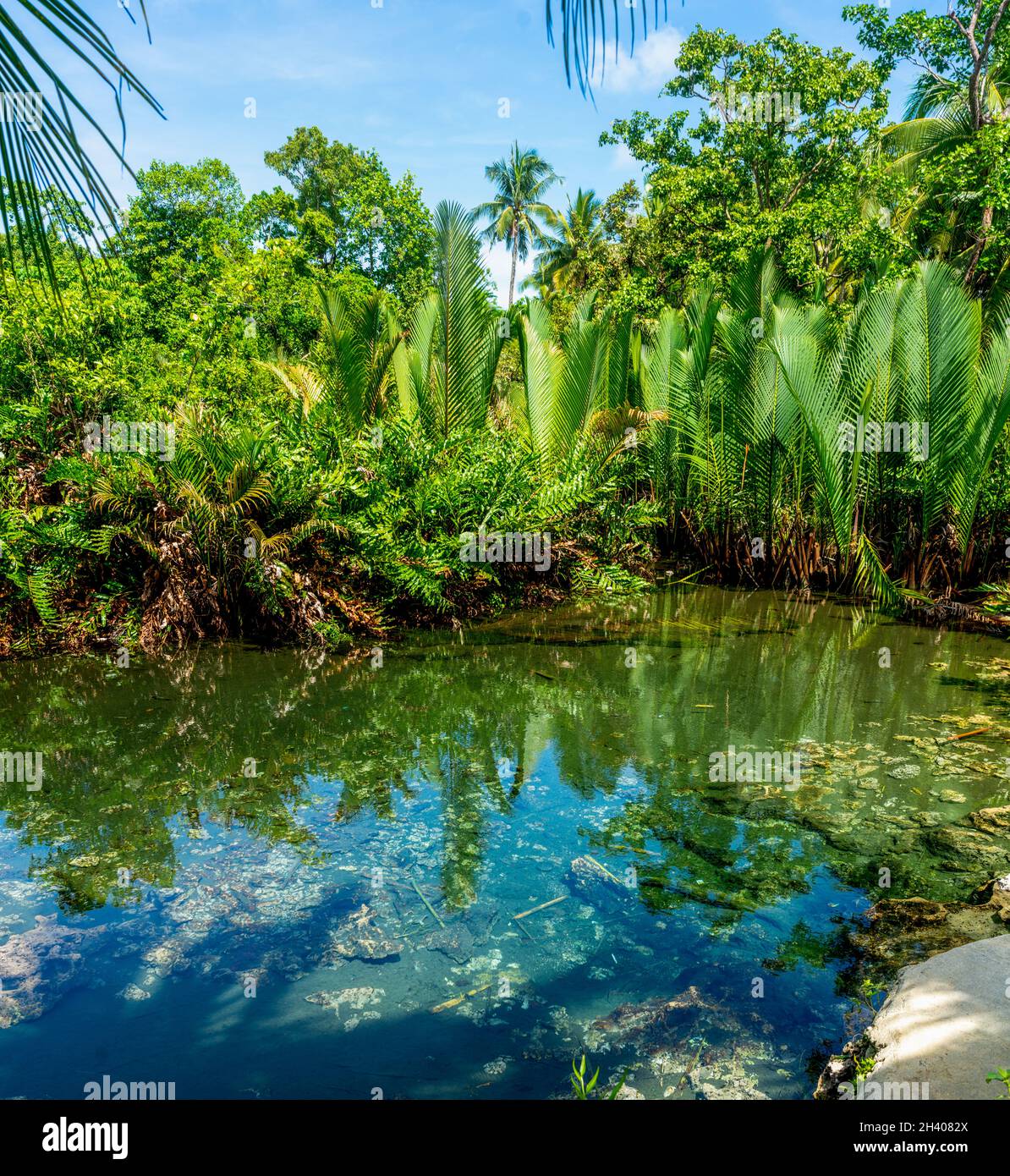 Cold spring hi-res stock photography and images - Alamy