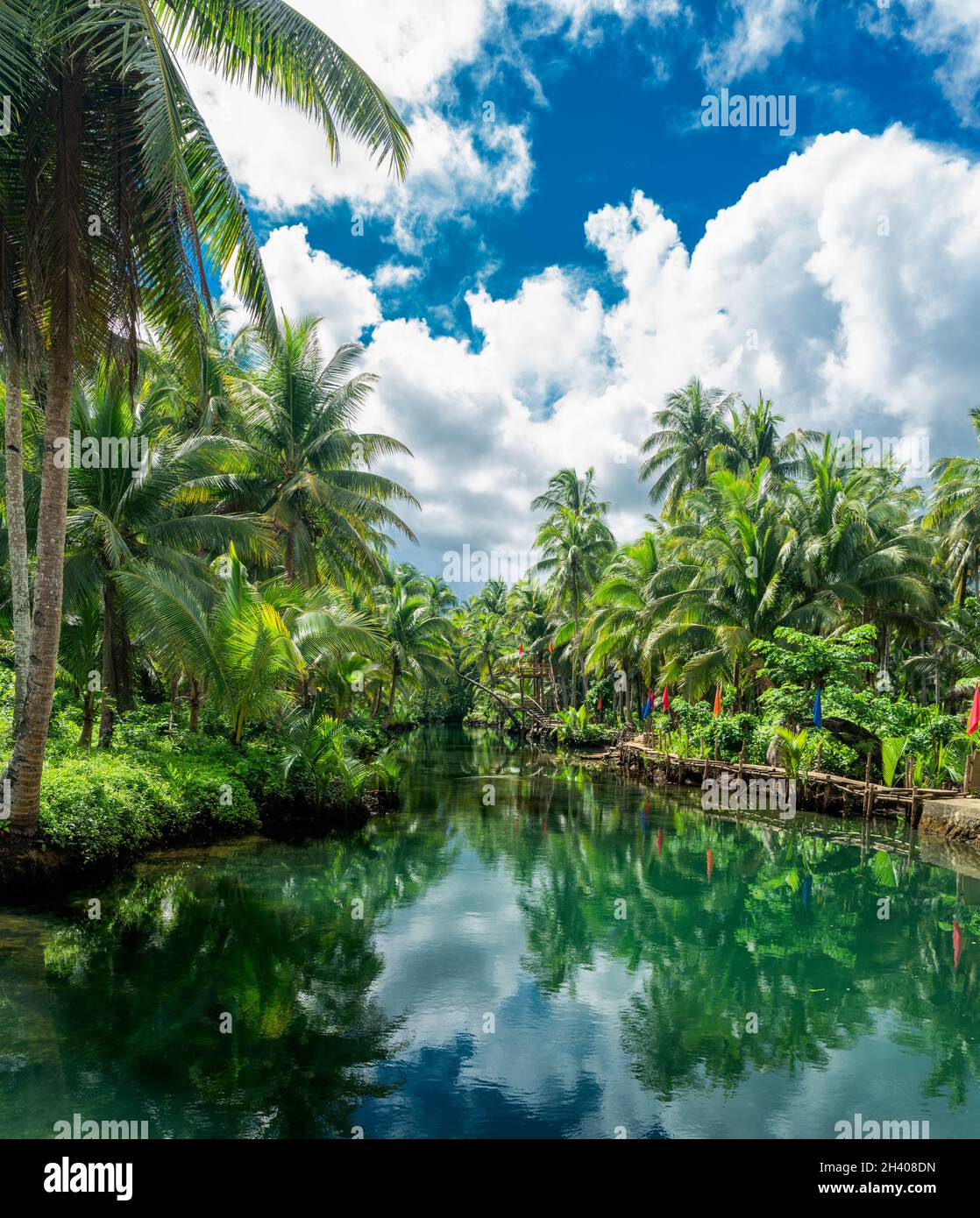 Jungle water hole hi-res stock photography and images - Alamy