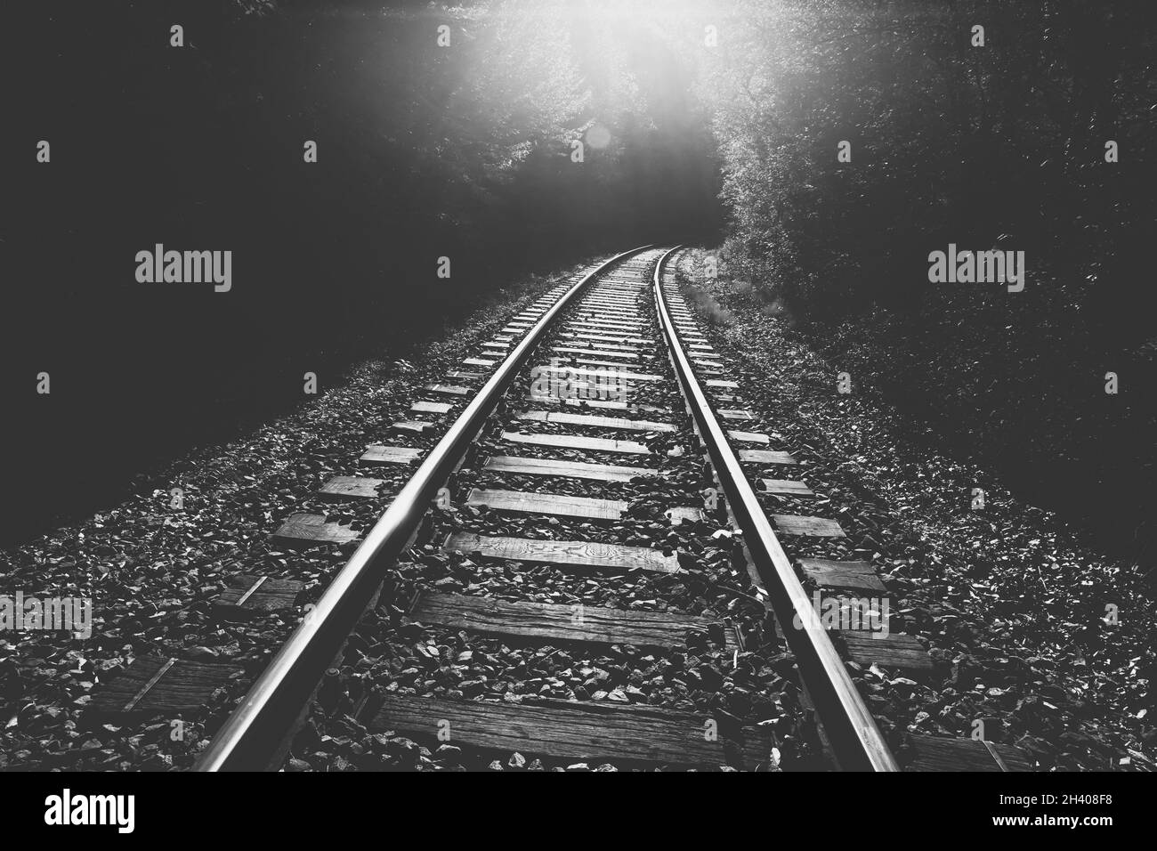 Railway tracks in autumn forest Stock Photo - Alamy