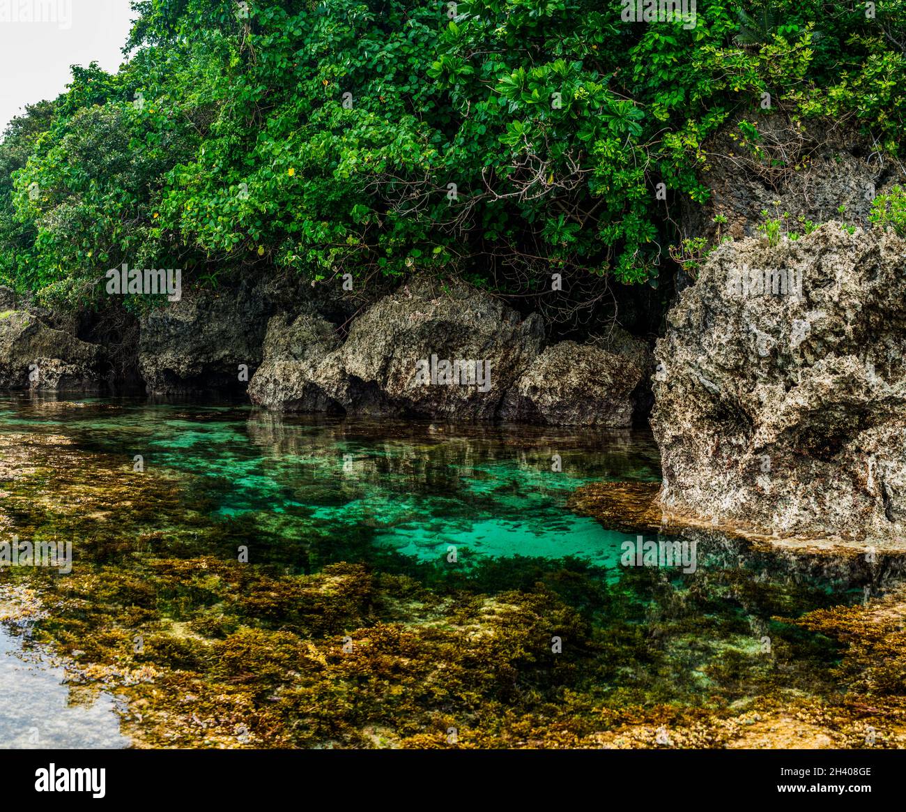Jungle philippines hi-res stock photography and images - Alamy