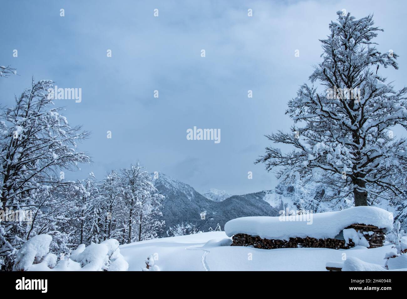 Julian alps after a big snowfall. Udine province, Friuli-Venezia Giulia ...