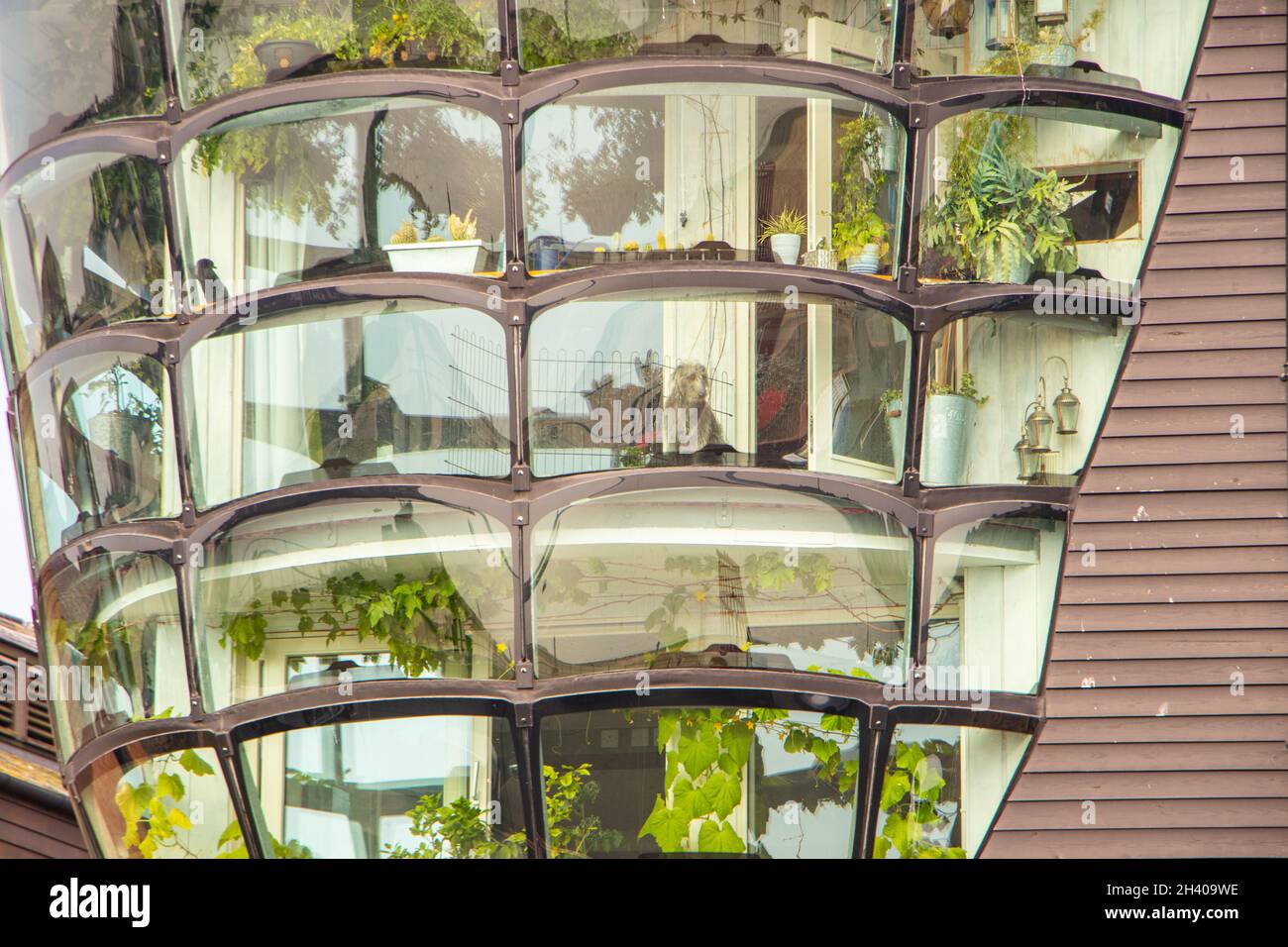 modern house and architects studio with large glass windows possibly ...