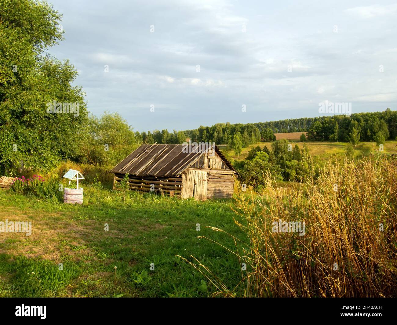 old barn among the trees in the village, in summer Stock Photo - Alamy