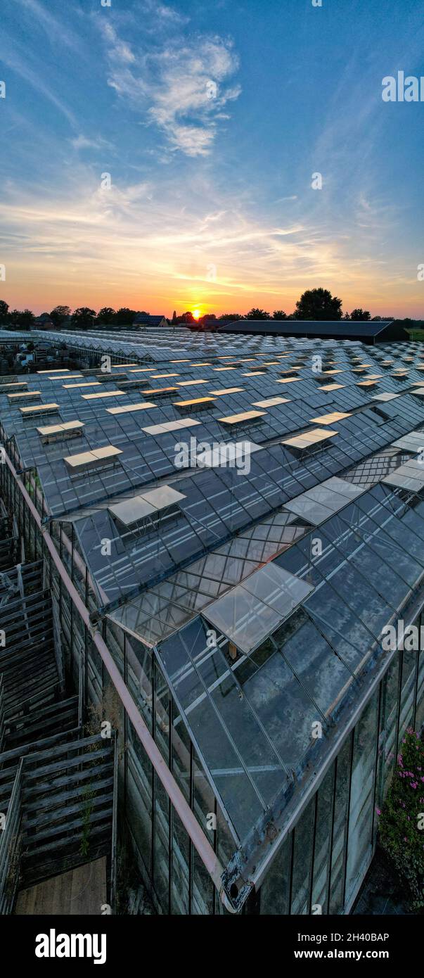 Aerial view of vegetable garden hi-res stock photography and images - Alamy