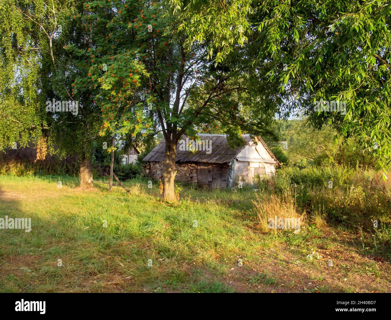 Beautiful field among trees mountains hi-res stock photography and ...