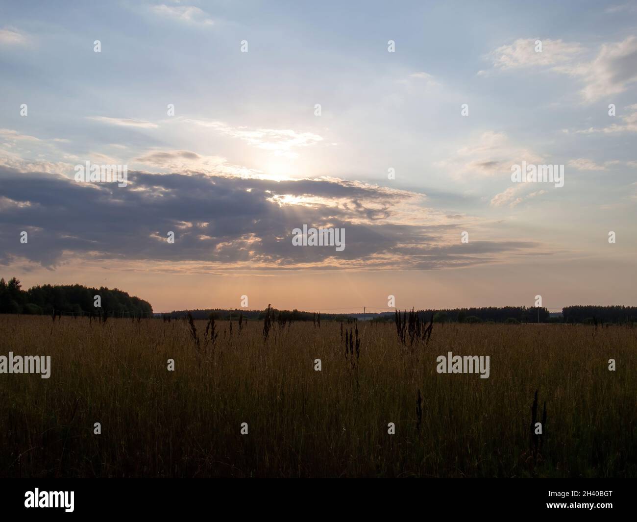 Unmowed hi-res stock photography and images - Alamy