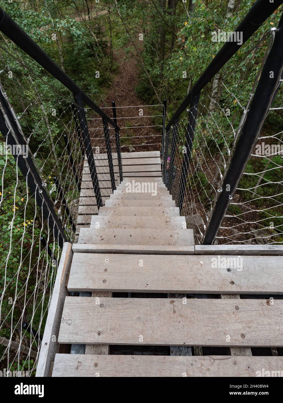Wooden sidewalk for protection of nature in park. Long wooden plank ...