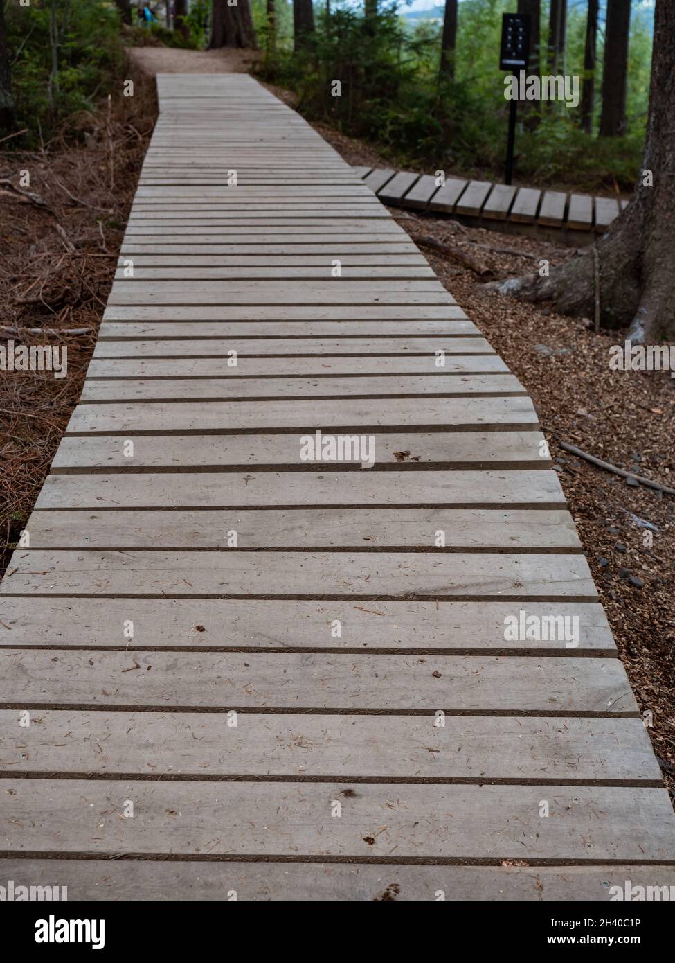 Pavement wooden boards in forest. Natural park protection Stock Photo ...