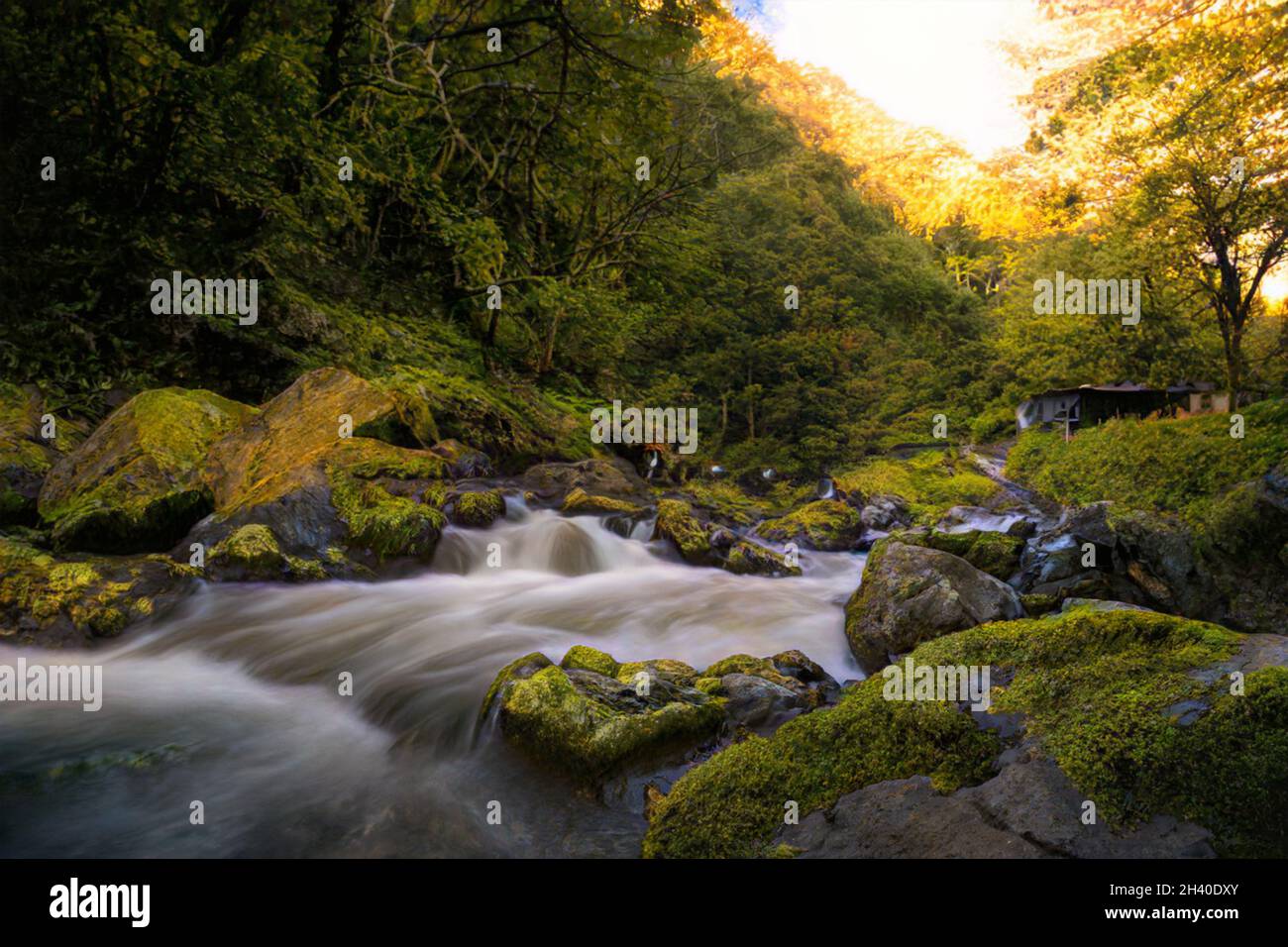 Slow shutter image of the cascading Tama river flowing over boulders in ...