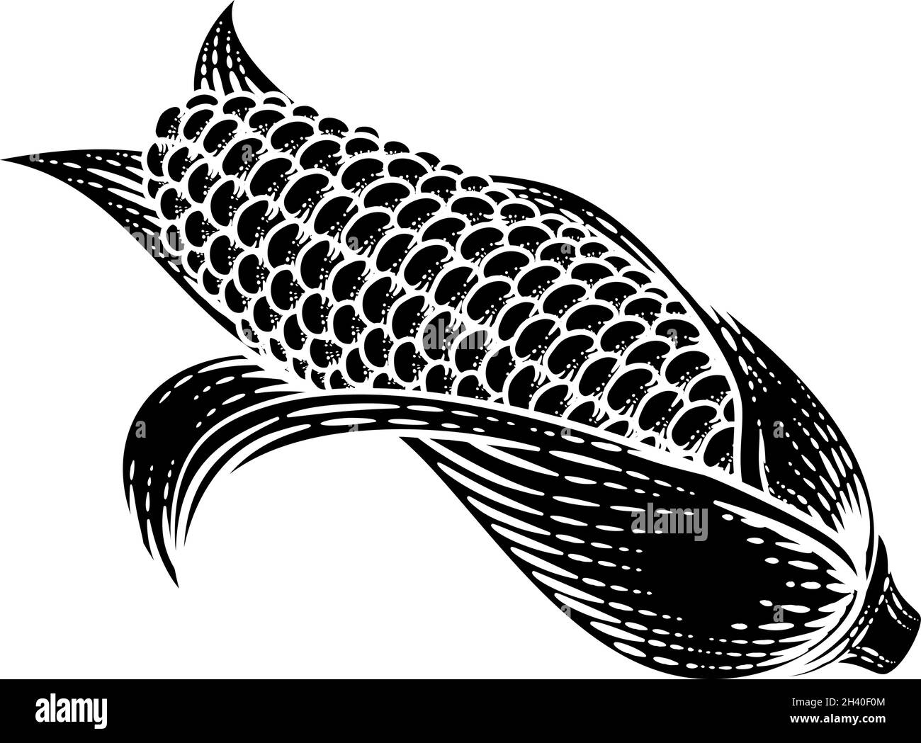 Vector hand drawn corn Cut Out Stock Images & Pictures - Alamy