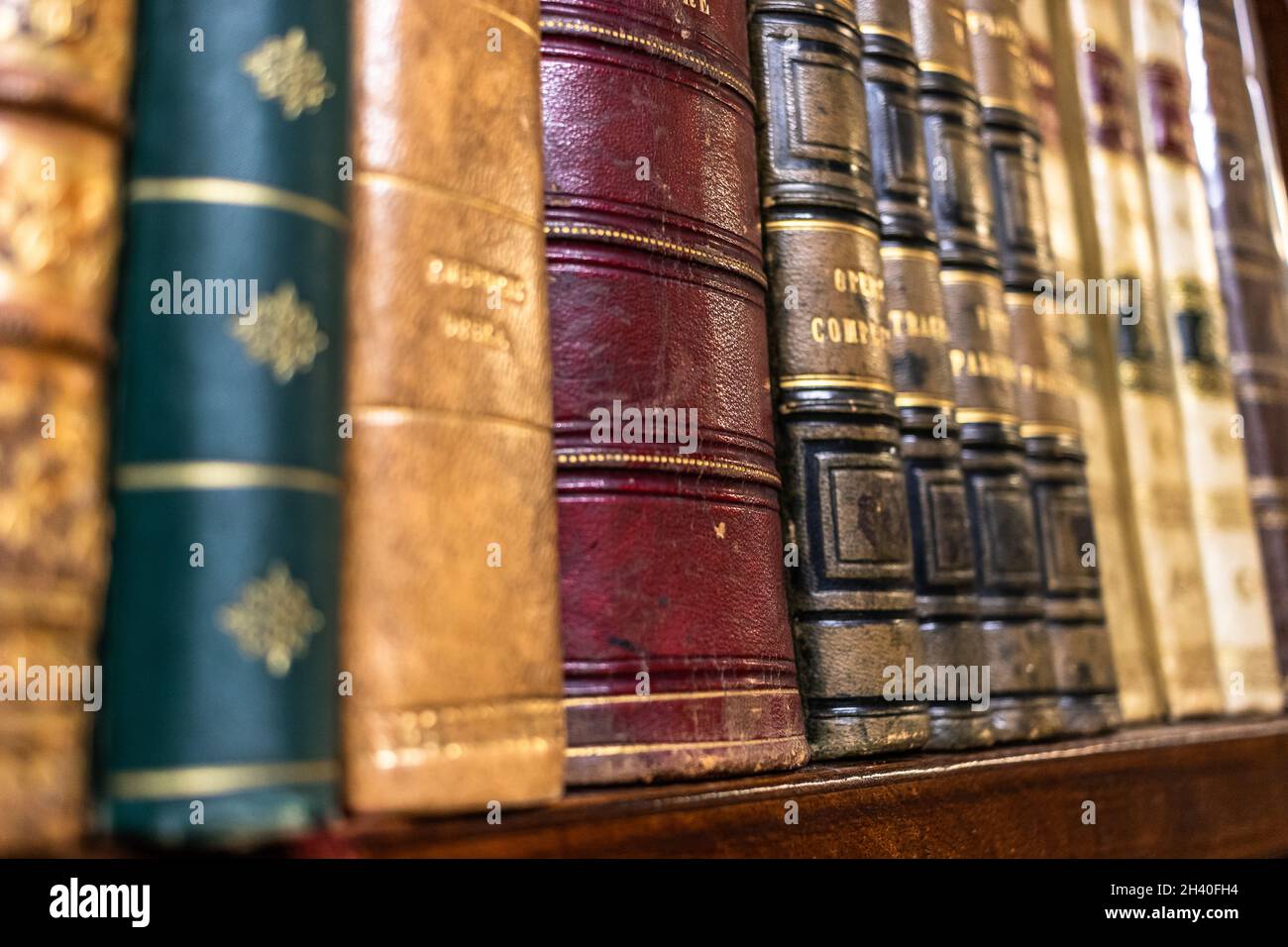 old vintage library shelves with books Stock Photo - Alamy
