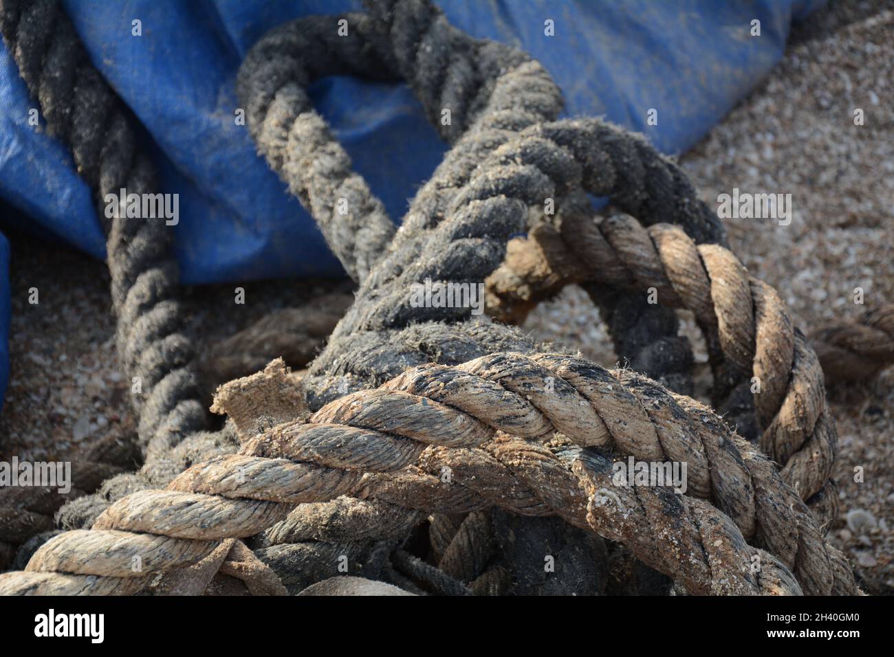 Fishing ropes. Fishing ropes and floats on a harbor. Ready for use ...