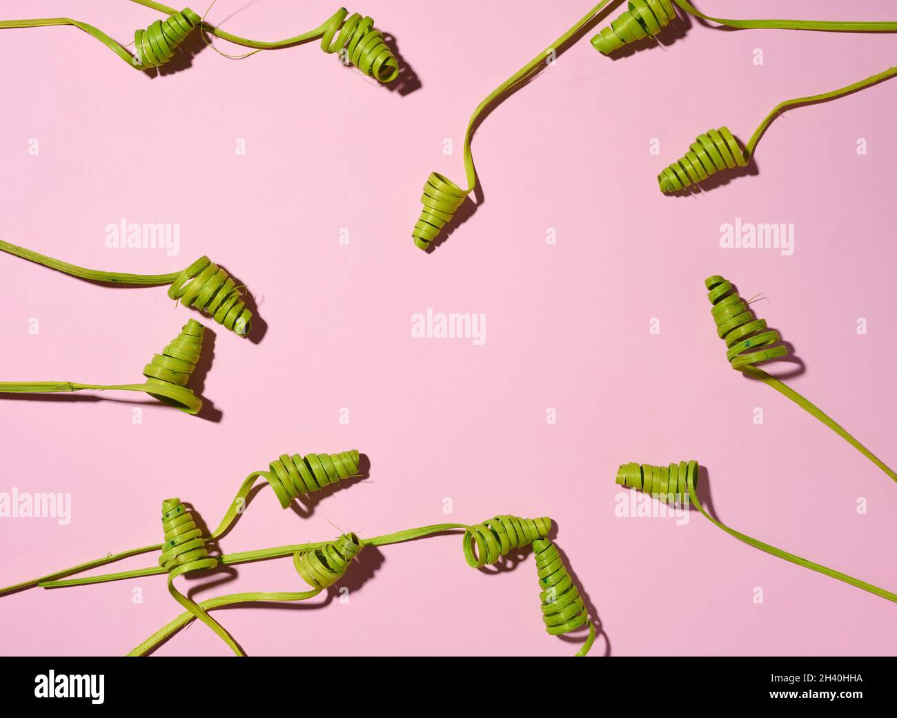Green wooden spirals on pink background, abstract background, top view ...
