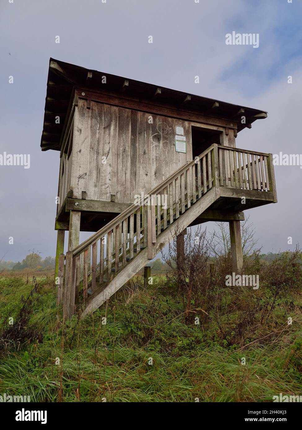 A Wooden bird watch house Stock Photo - Alamy