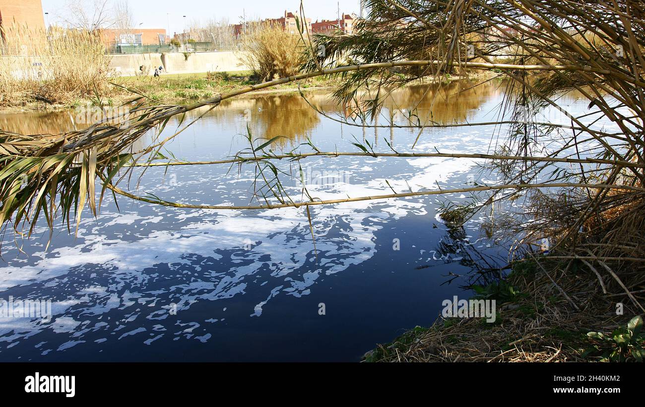Polluted water in the Besos river in Sant Adria del Besos, Barcelona ...