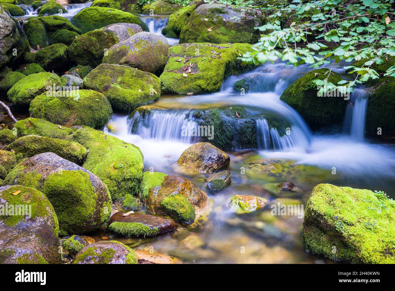 Cataract creek hi-res stock photography and images - Alamy