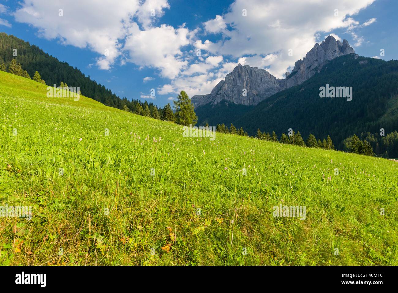 Scenic landscape mountain holiday hi-res stock photography and images ...