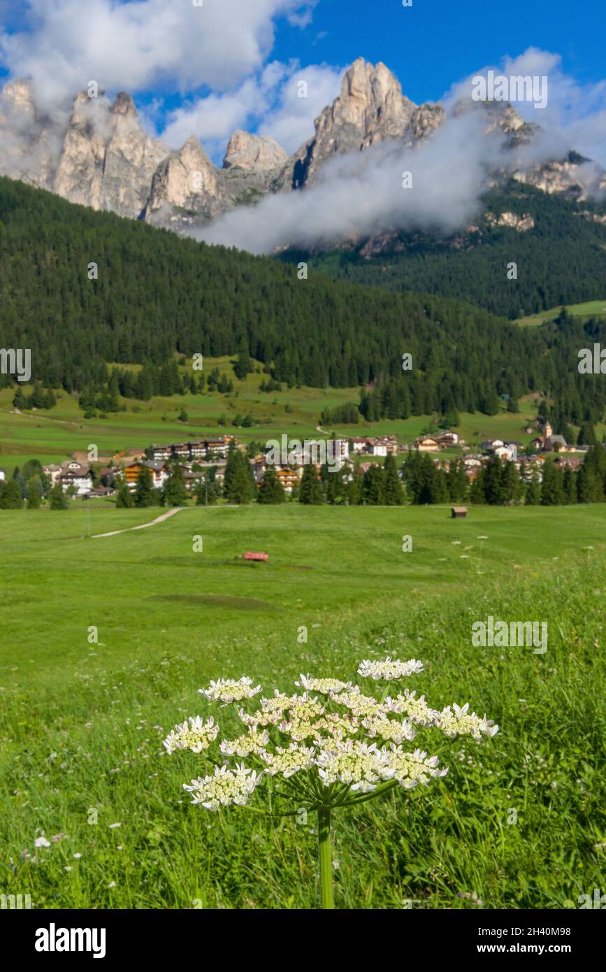 Panorama of Fassa Valley Stock Photo - Alamy