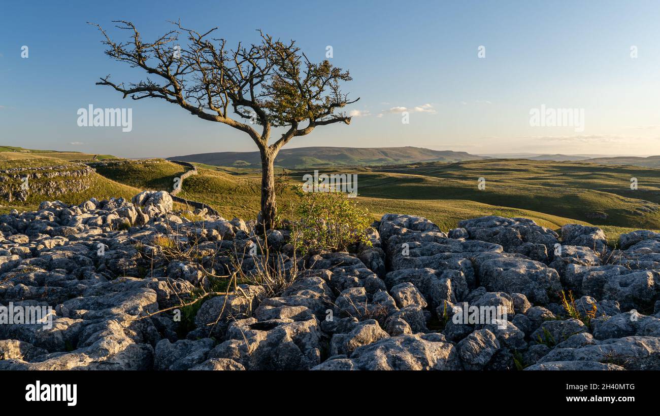 Limestone Scenery in the Yorkshire Dales Stock Photo - Alamy