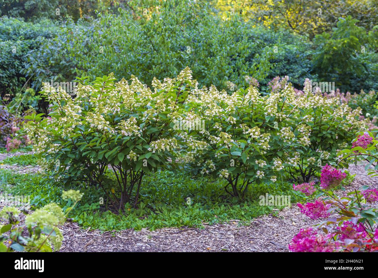 Outdoor decorating hi-res stock photography and images - Alamy