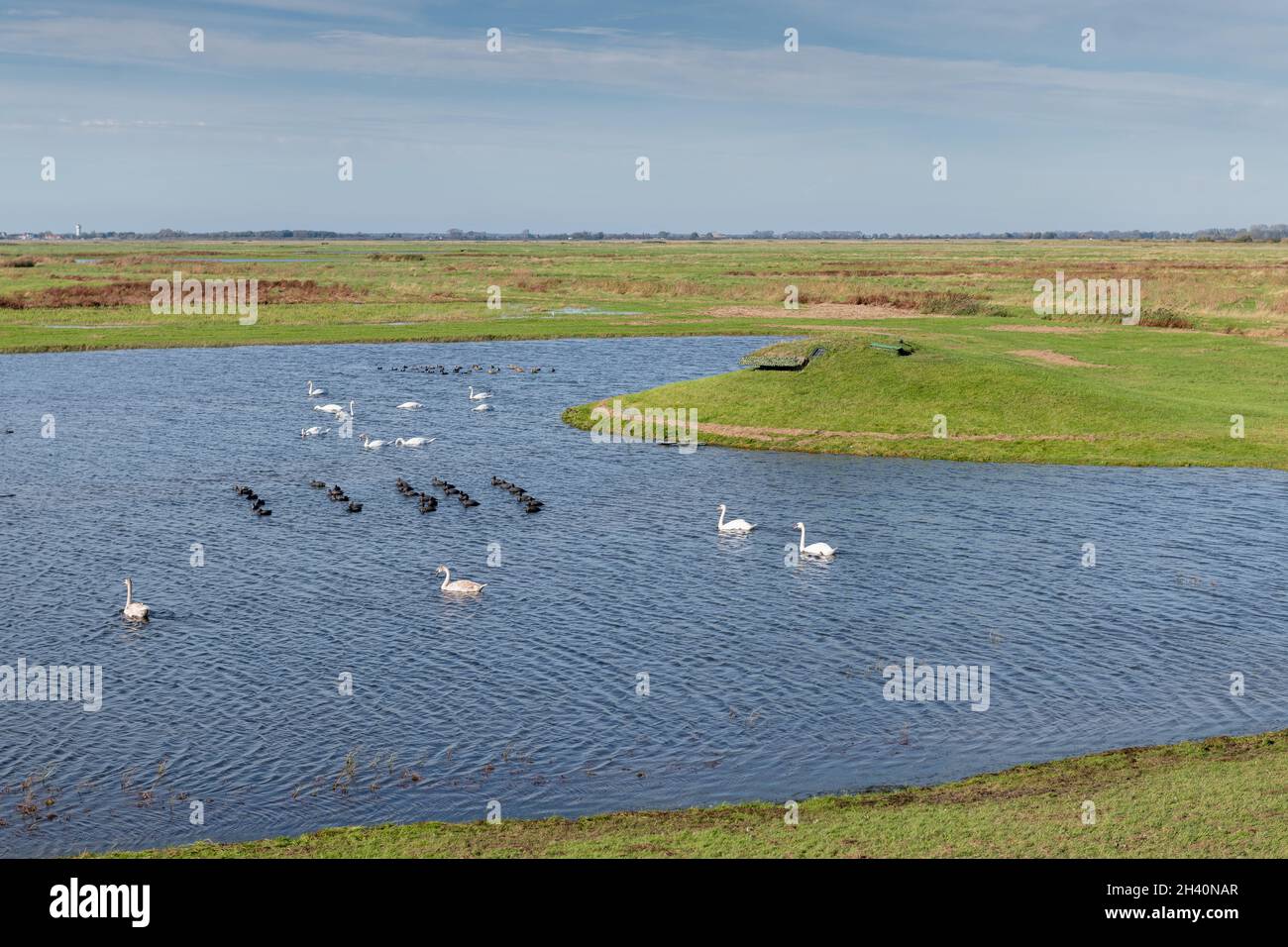 Hutte de chasse et sa mare, France, Baie de Somme Stock Photo - Alamy