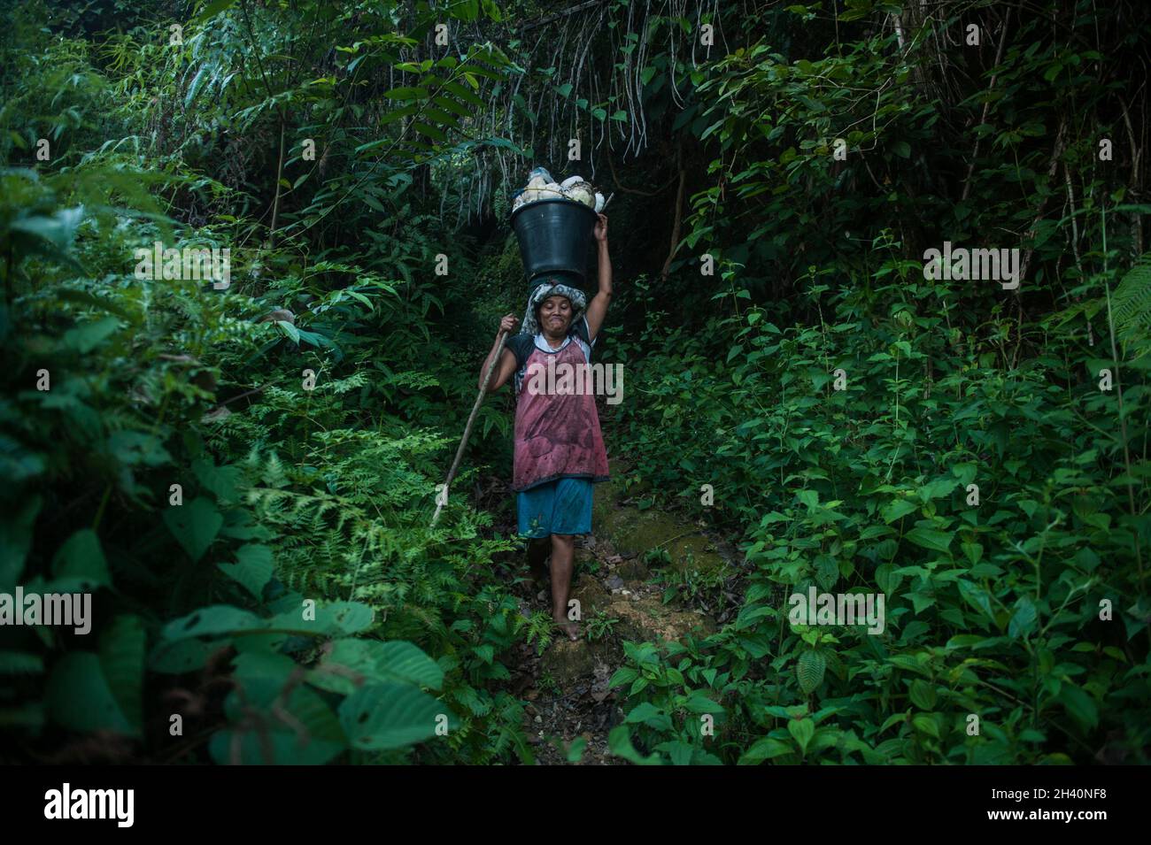 Sutanta aditya hi-res stock photography and images - Alamy