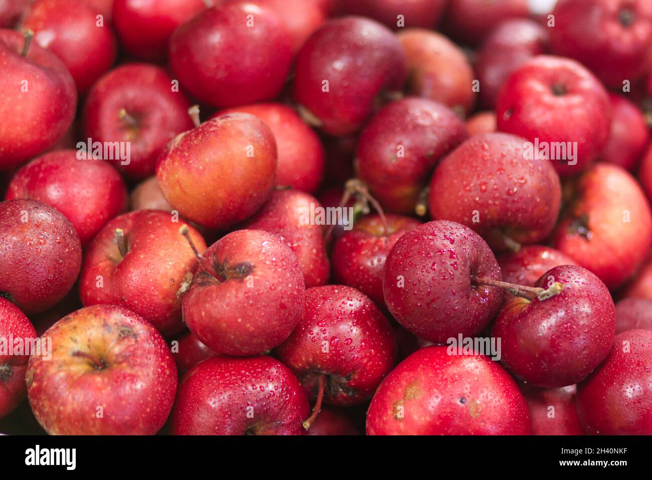 Trinity of apples hi-res stock photography and images - Alamy