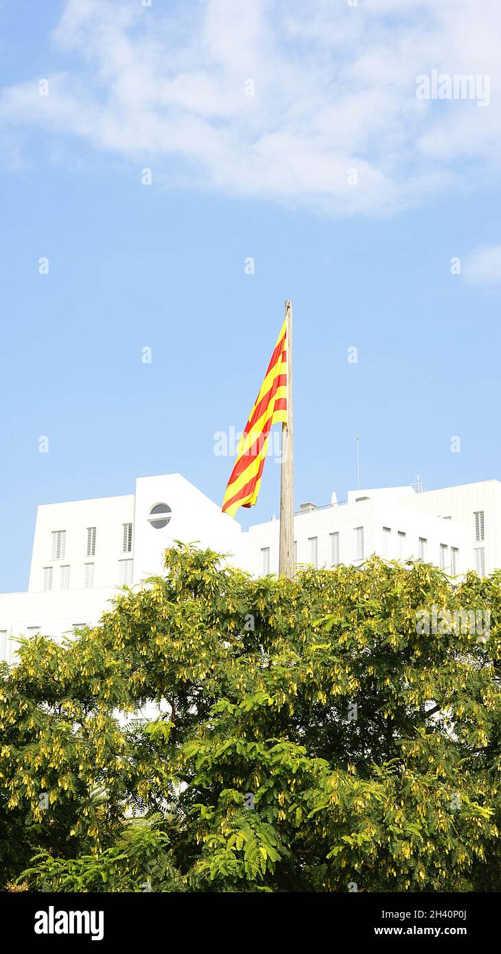 Flag of Catalunya on a building in Barceloneta, Barcelona, Catalunya ...