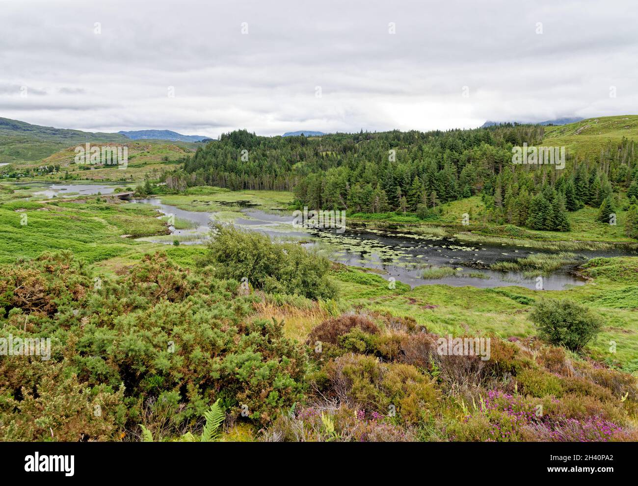 Nc 500 nc 500 sights hi-res stock photography and images - Alamy