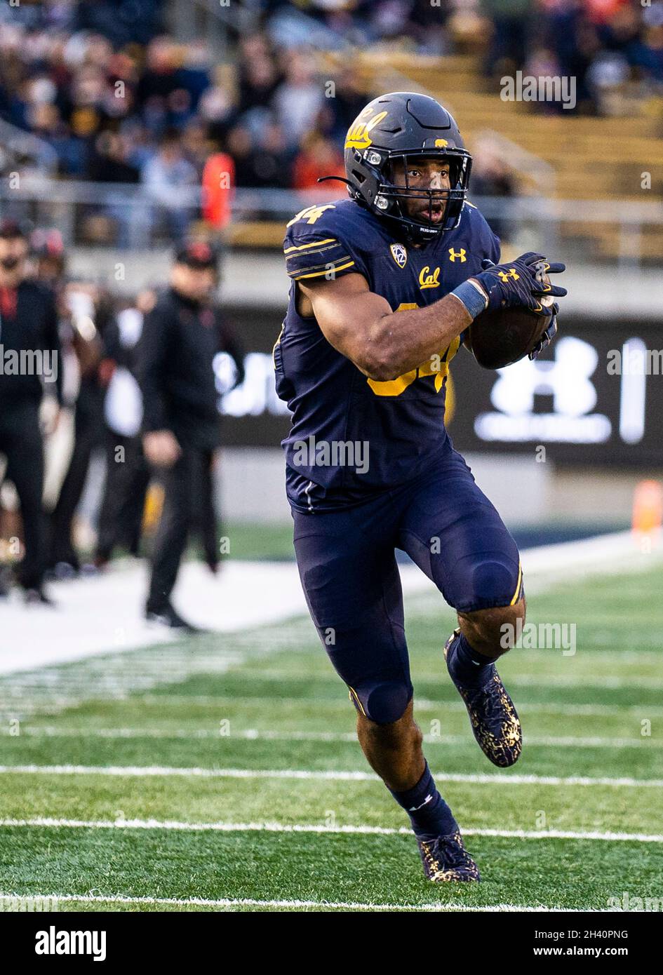 October 30, 2021 Berkeley, CA U.S.A. California running back ...