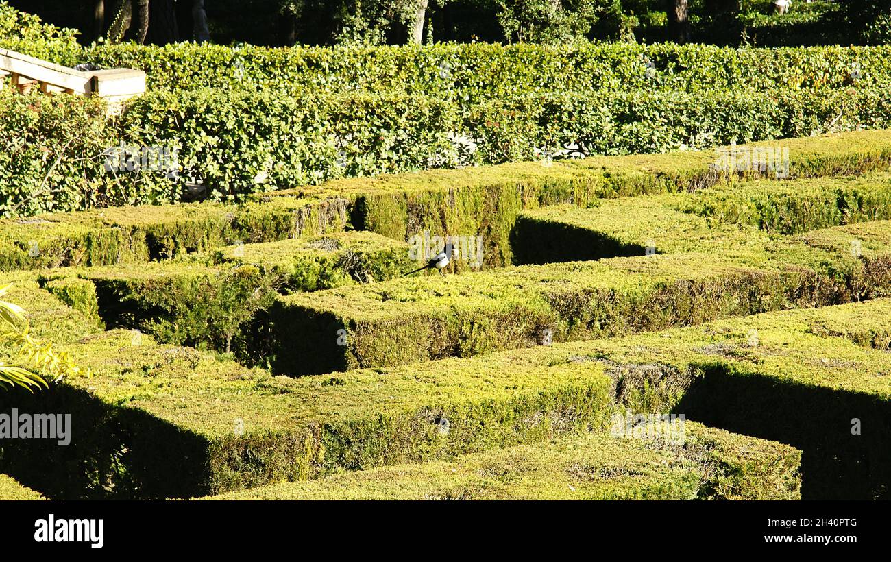 Labyrinth of Horta, Barcelona, Catalunya, Spain, Europe Stock Photo - Alamy