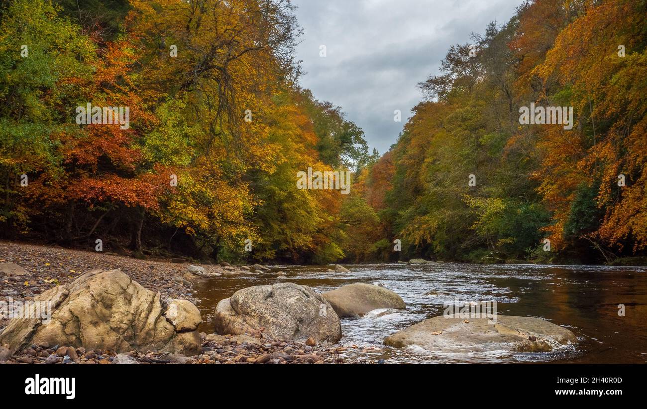 Allen trees hi-res stock photography and images - Alamy