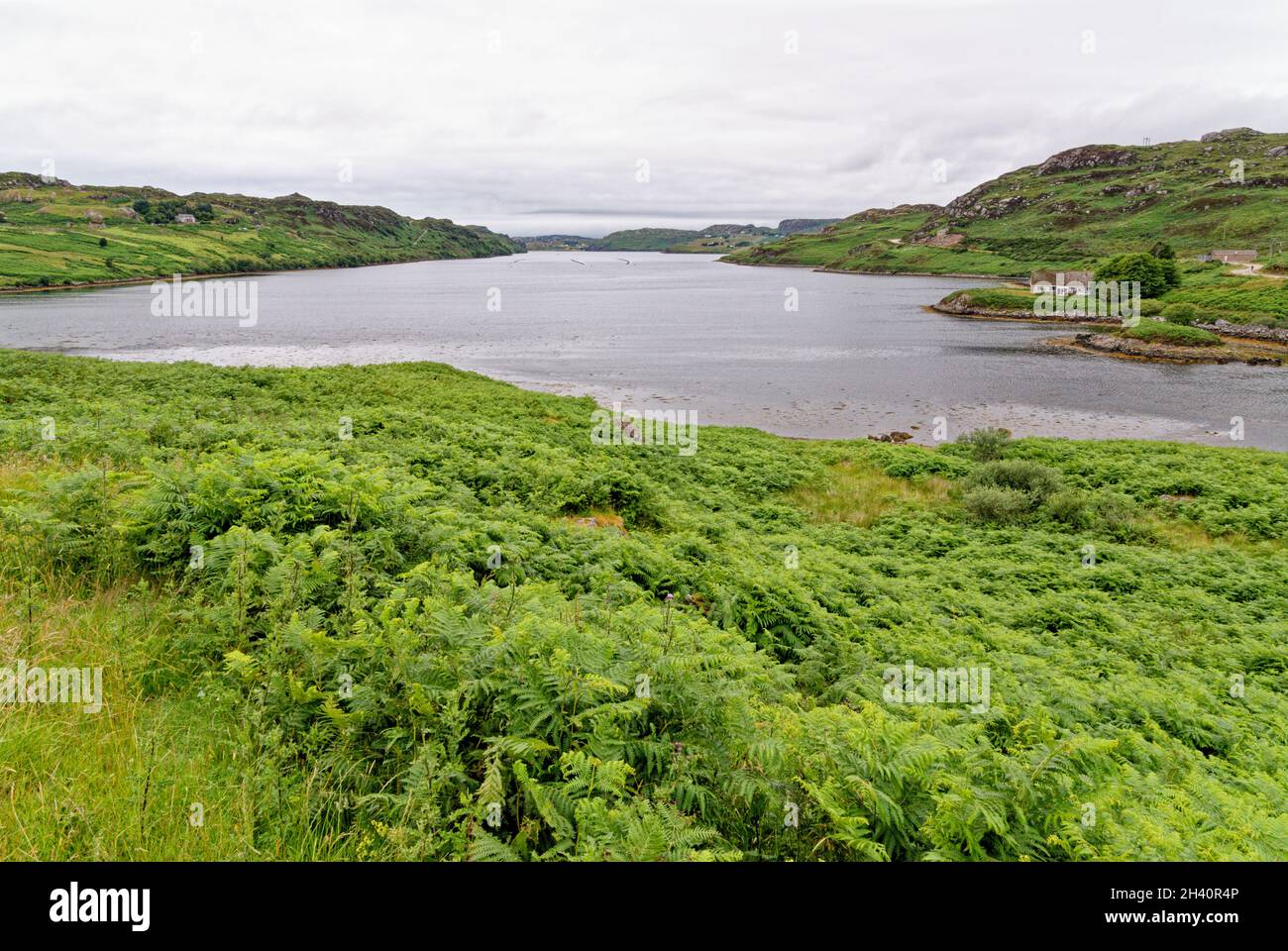 Nc 500 nc 500 sights hi-res stock photography and images - Alamy