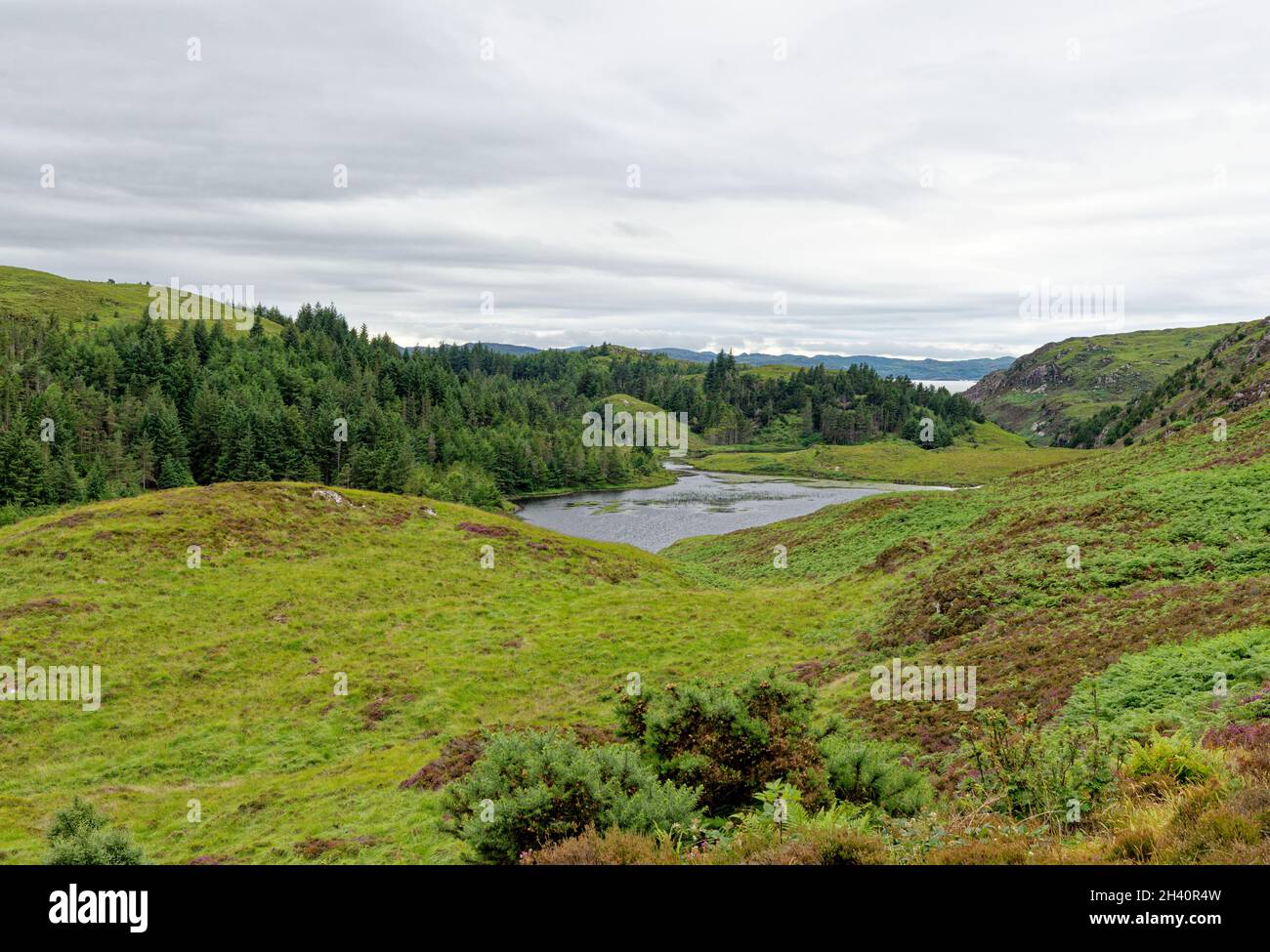 Nc 500 nc 500 sights hi-res stock photography and images - Alamy