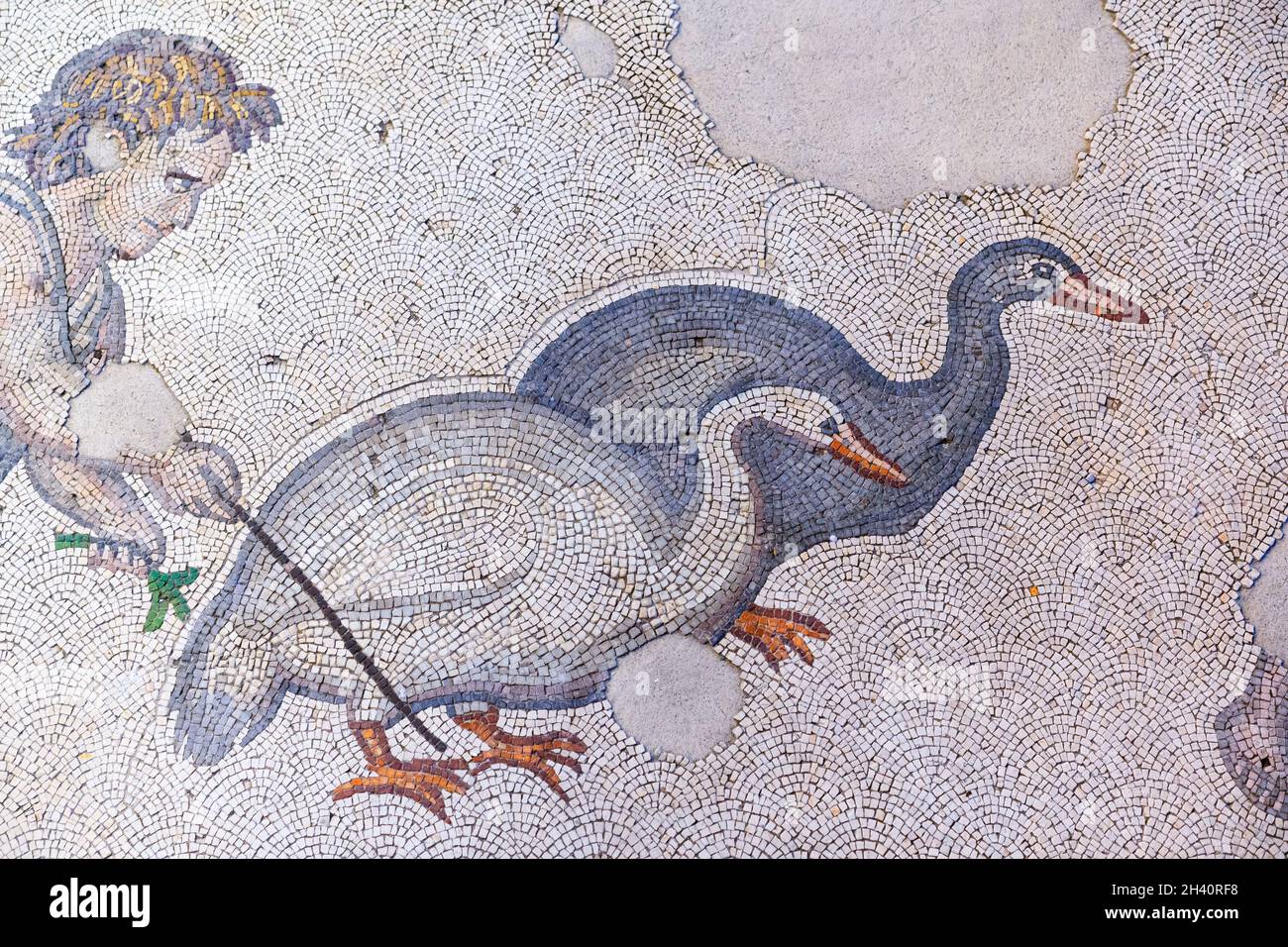 ISTANBUL, TURKEY - JULY 17, 2021: Scene with young boy herding two ...