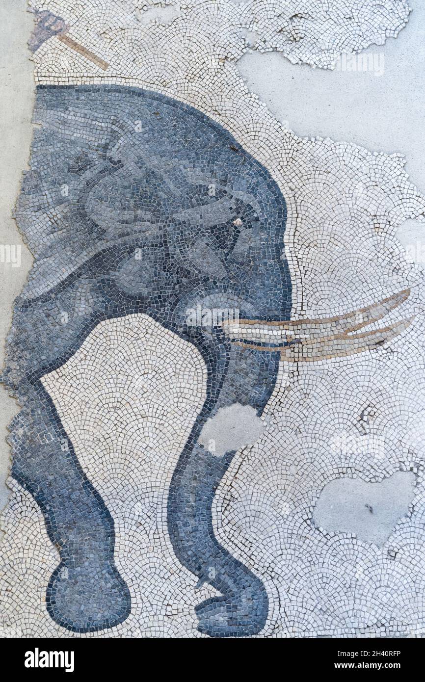 Mosaic elephant hi-res stock photography and images - Alamy