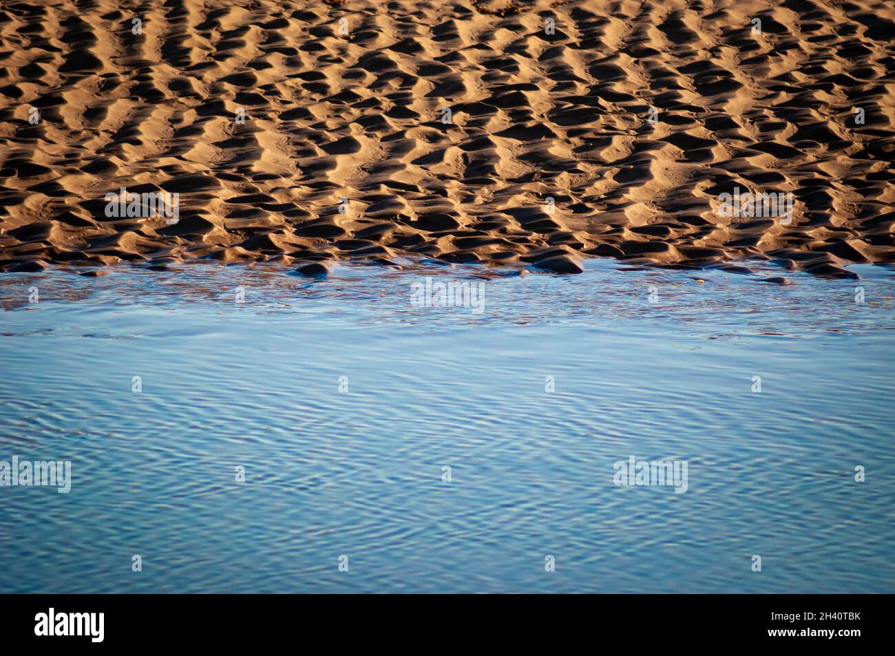 Sand meets water at a beach Stock Photo - Alamy