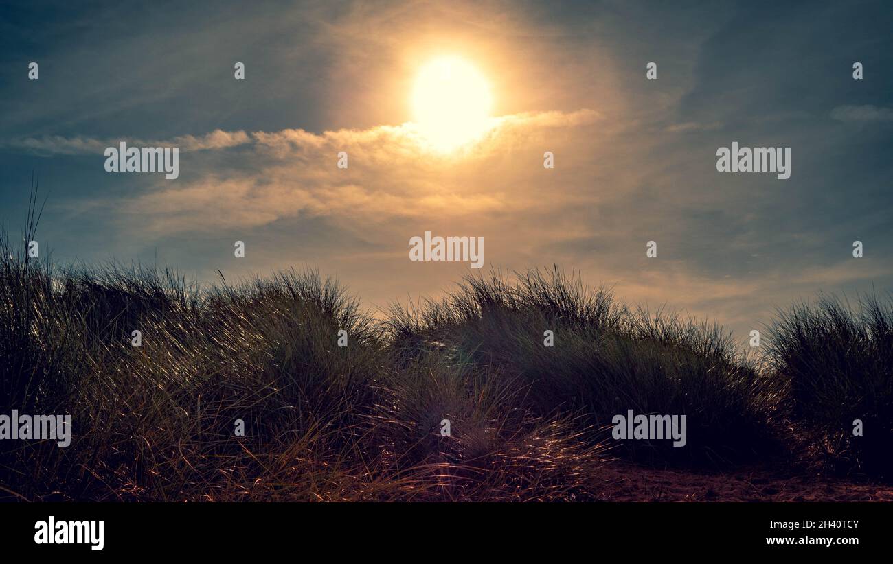 Low sun over sand dunes Stock Photo - Alamy