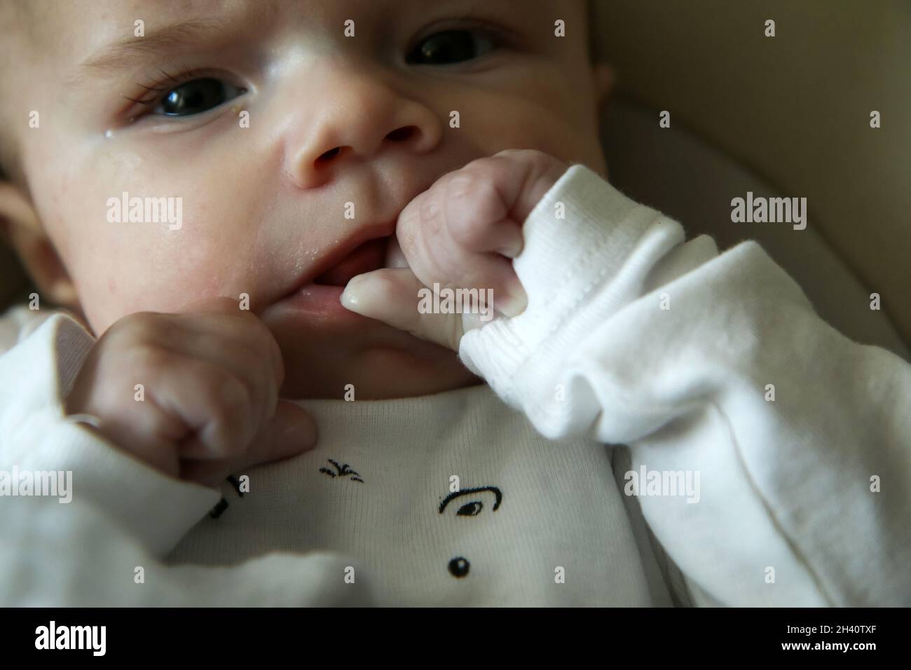 The portrait picture of the baby sucking its hands. Exploring its body ...