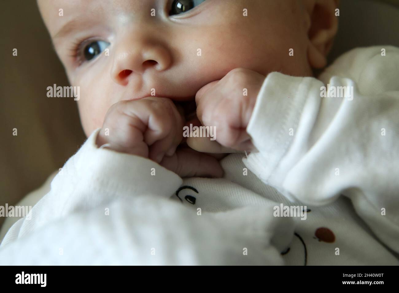 The portrait picture of the baby sucking its hands. Exploring its body ...