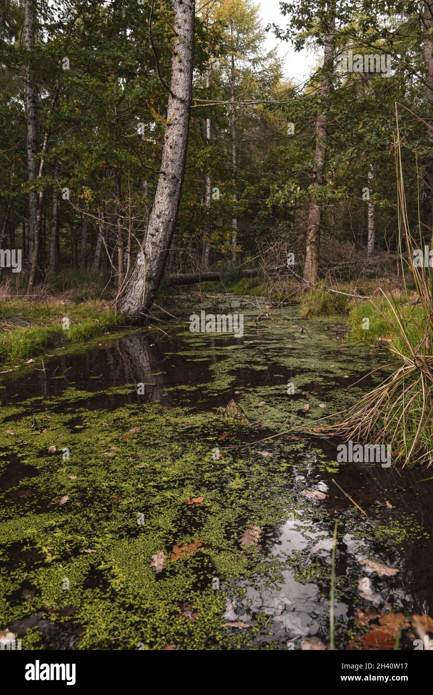 Amazing autumn colours in the countryside Stock Photo - Alamy